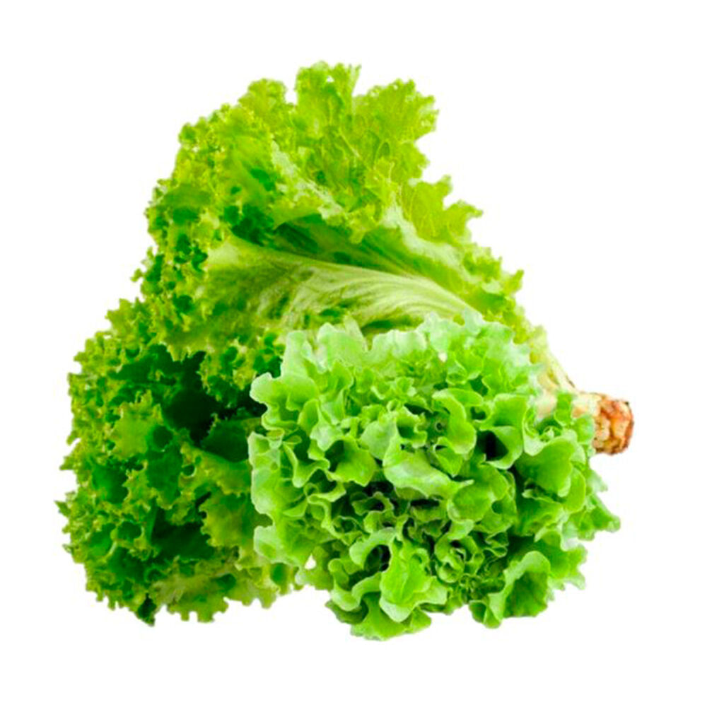 Lechuga francesa organica x kg. - Carrefour