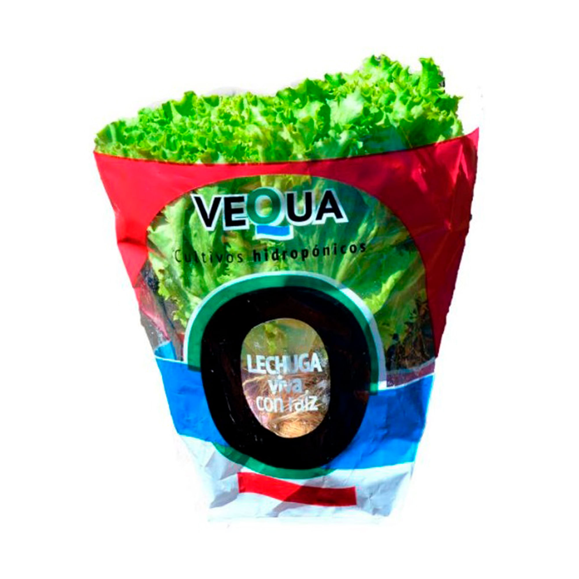Lechuga francesa hidropónica 220 g. - Carrefour