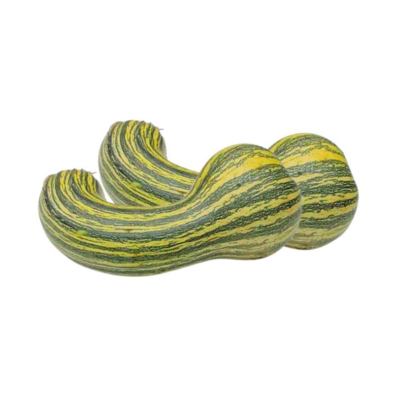 Zapallo calabaza larga x kg. - Carrefour