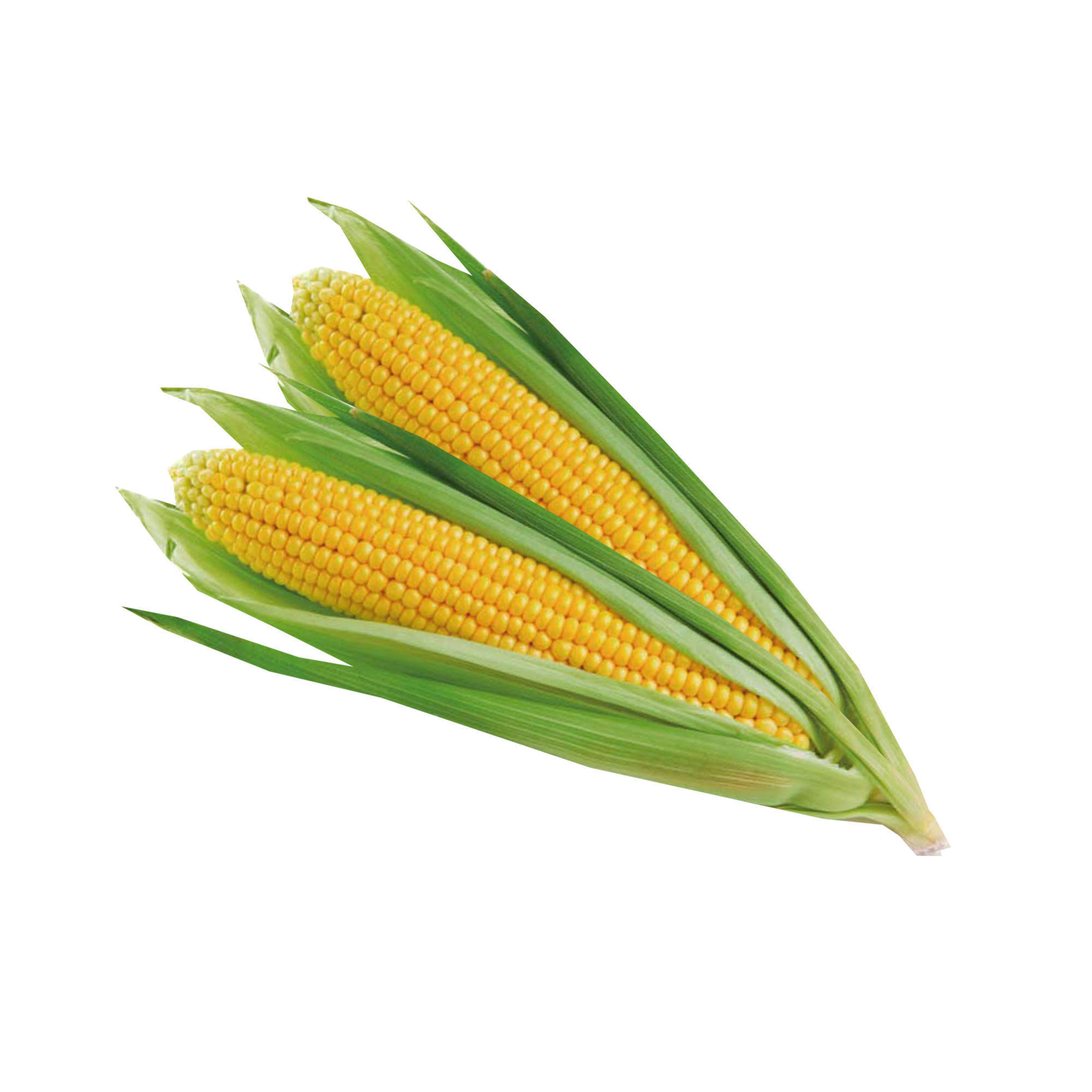 Choclo Huella Natural 500 g. - Carrefour