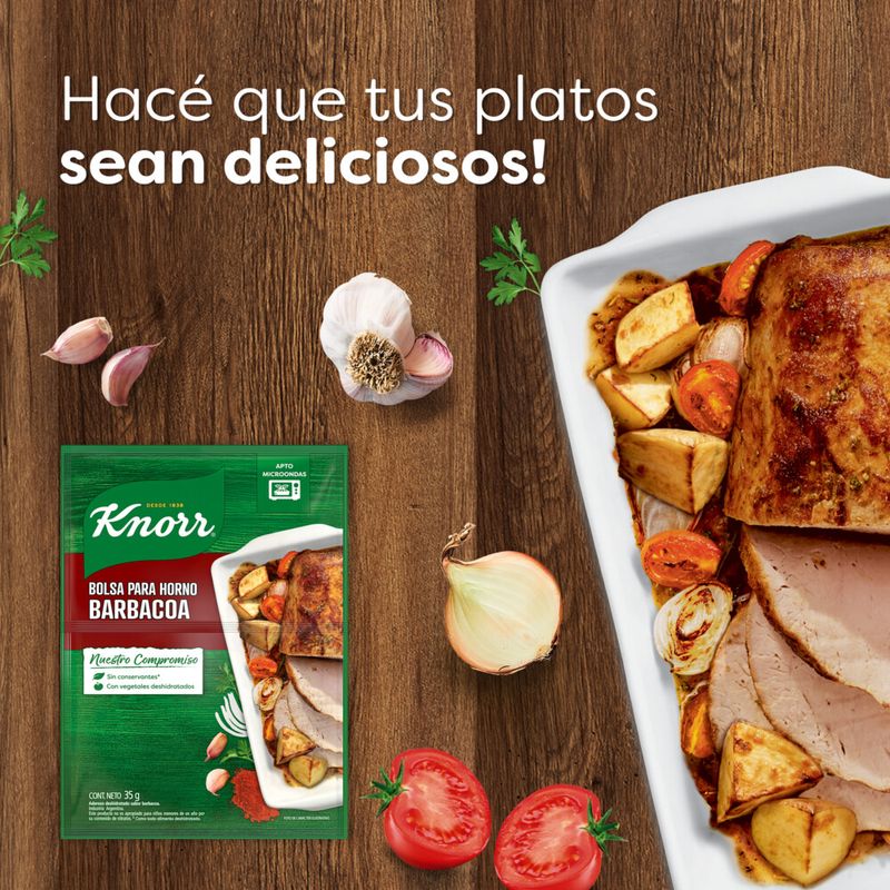 Condimento sabor al horno Knorr barbacoa sobre 35 g - Carrefour