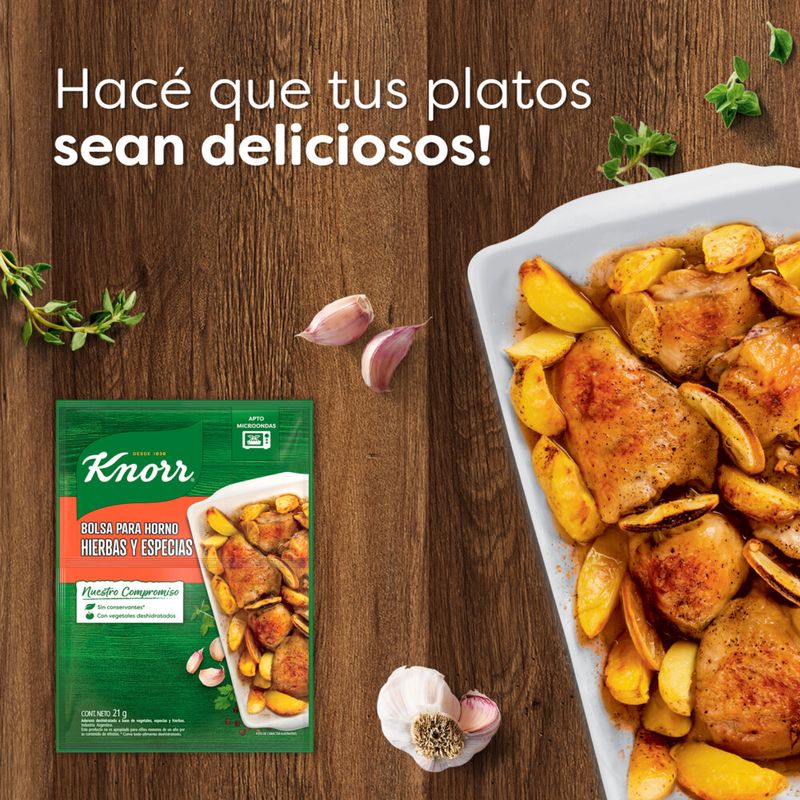 Condimento sabor al horno Knorr hierbas y especias sobre 21 g - Carrefour
