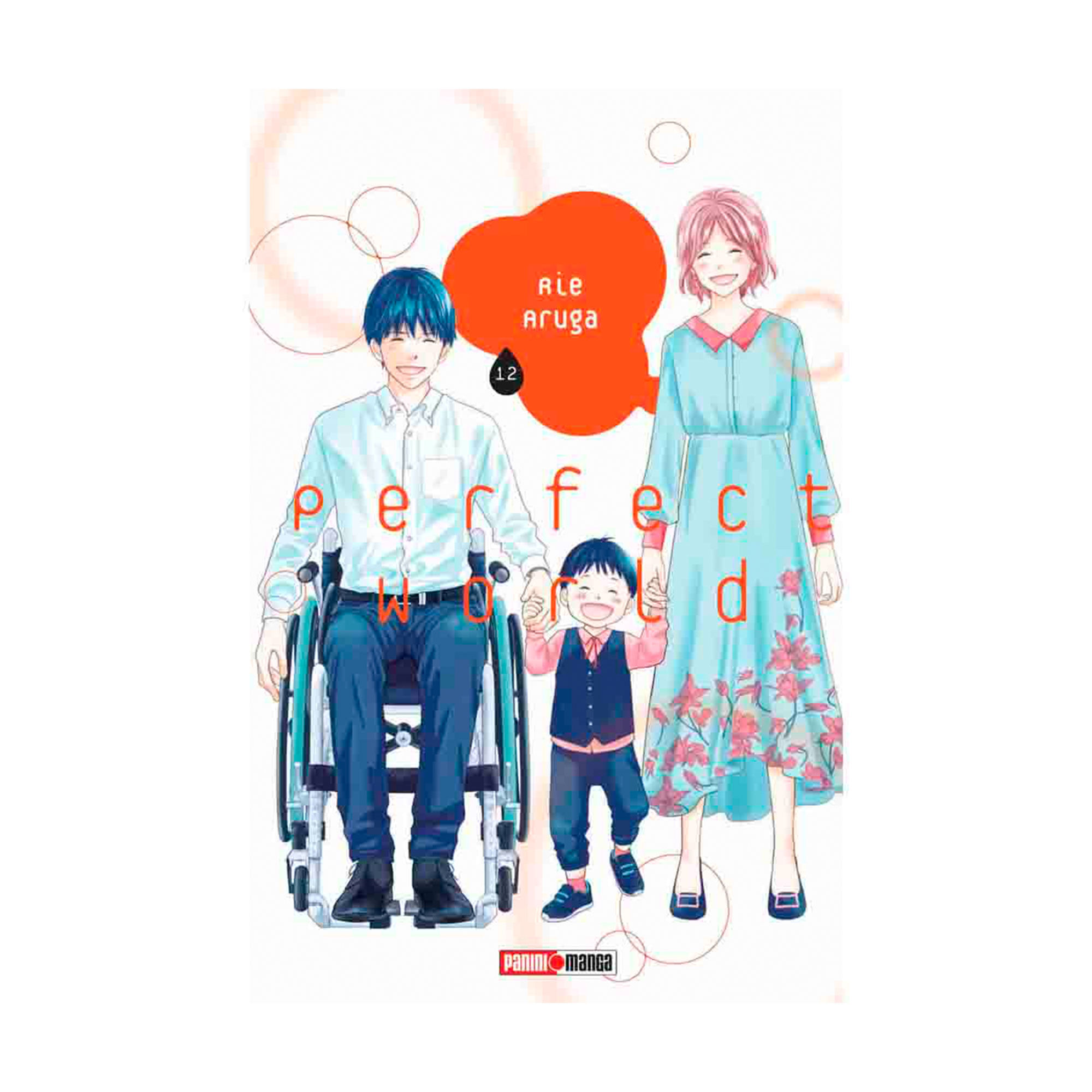 Manga Perfect World 12 - Carrefour